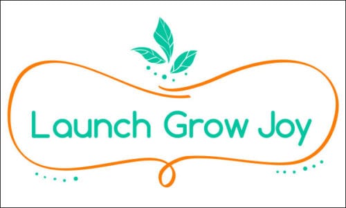 Check Me Out On the Launch Grow Joy Podcast! - Indie Business Network®